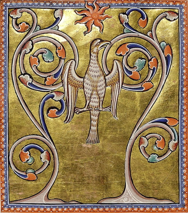 World Bestiary | Fantasy I Sci-Fi I Books I Films I World Building