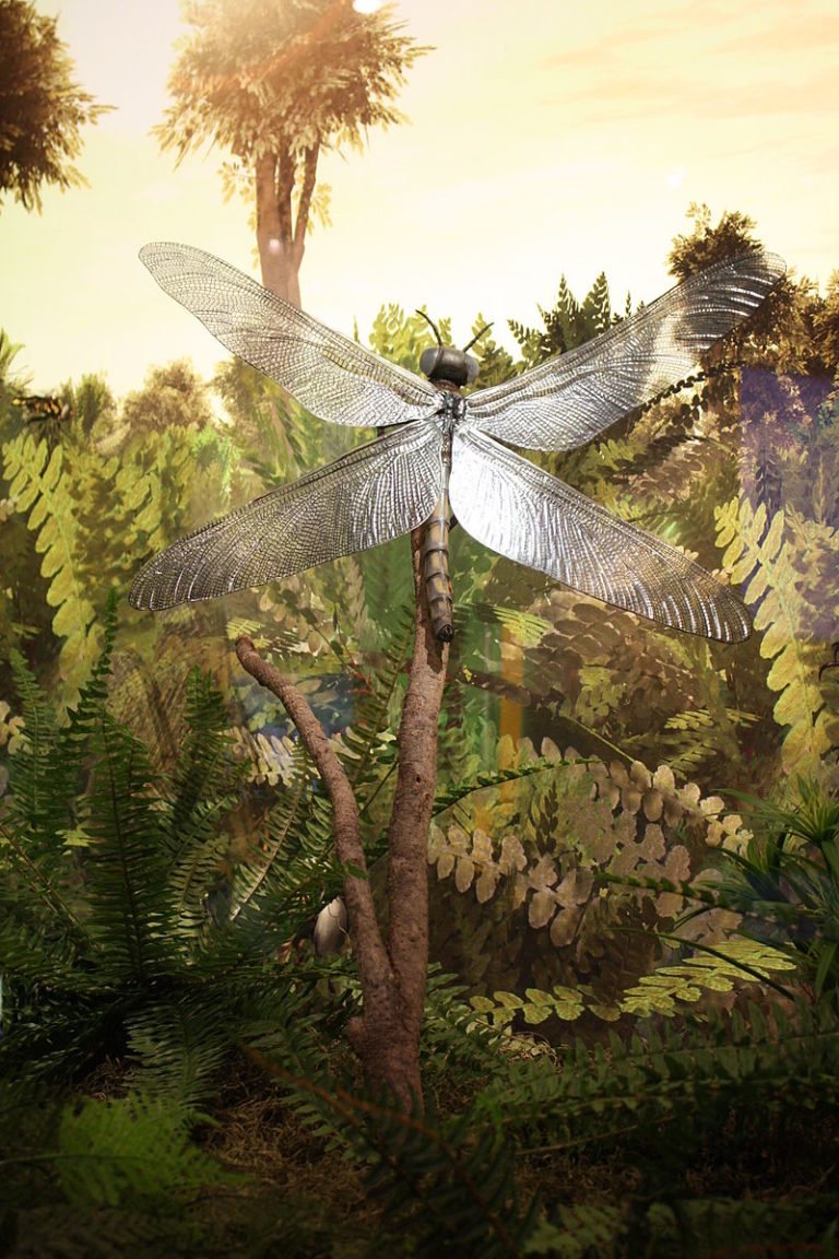 Monster, Giant Dragonfly | Fantasy I Sci-Fi I Books I Films I World ...