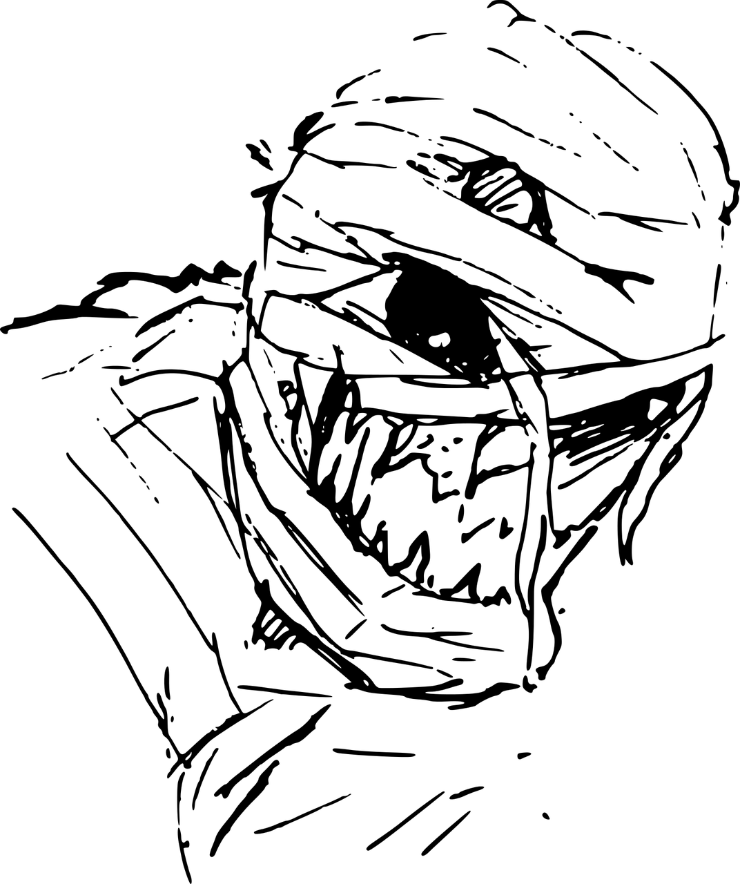 Disease Mummy Rot | Fantasy I Sci-Fi I Books I Films I World Building