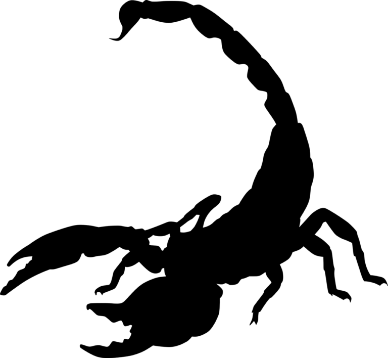 Fiendish Giant Scorpion | Fantasy I Sci-Fi I Books I Films I World Building